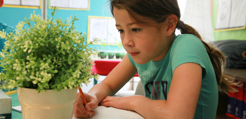 Health & Well-Being - Chinook Park School